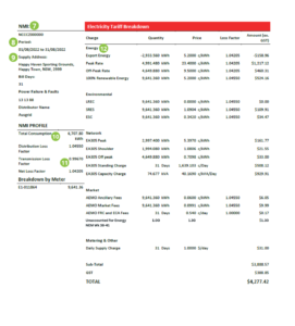 Large Customer Invoice Explained - Diamond Energy