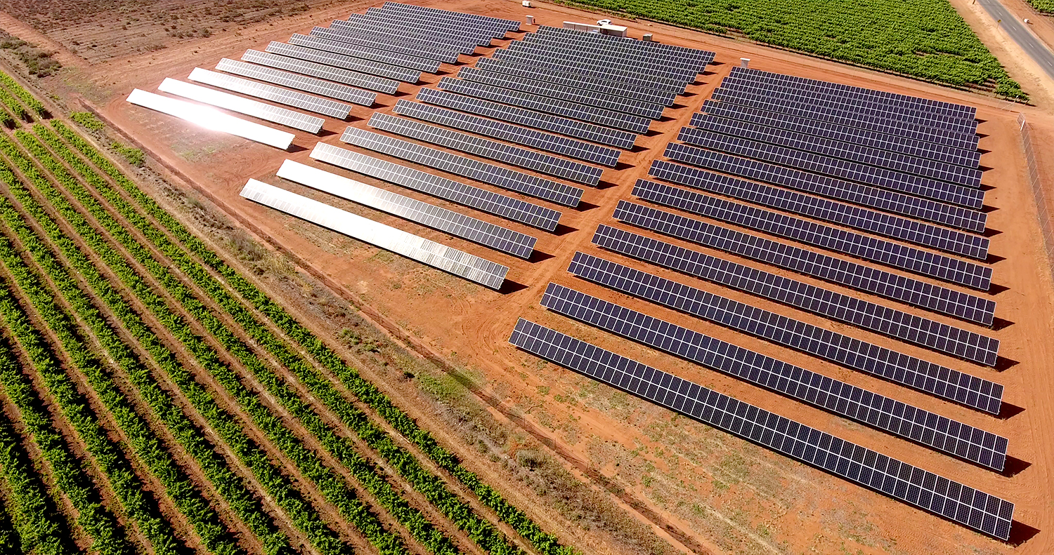 Caroona Solar Farm | Supporting Renewable Energy in SA Diamond Energy